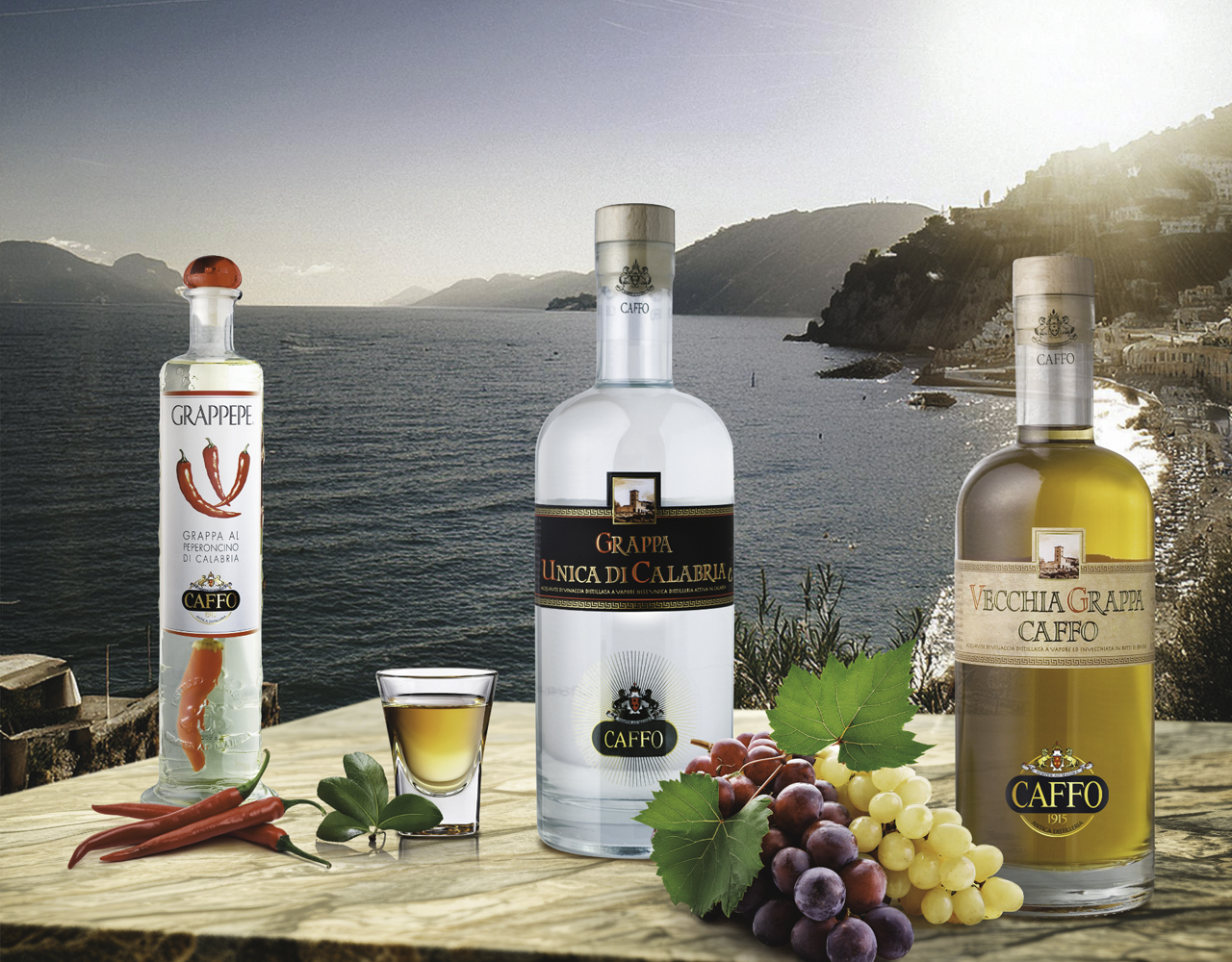 Discover our brands – Discover our brands